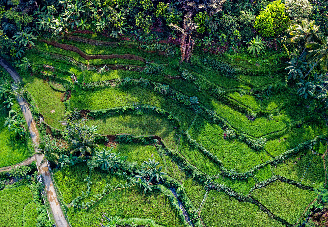 MUFG Bank Invests In SDG Impact Japan For Carbon Neutrality And A MUFG Bank Invests In SDG Impact Japan For Carbon Neutrality And A